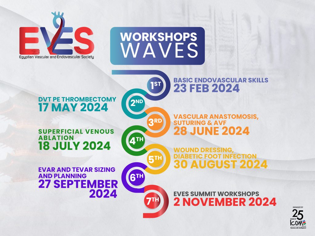 Workshops – EVES